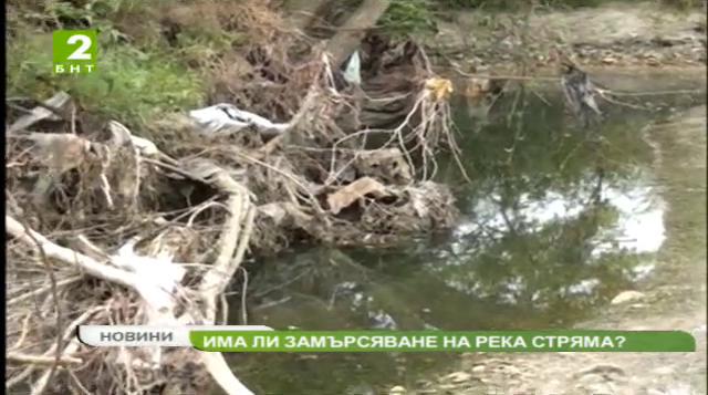 Има ли замърсяване на река Стряма? - По света и у нас - БНТ Новини