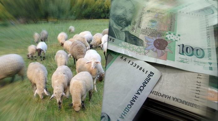 Порожанов свиква Съвета по животновъдство - По света и у нас - БНТ Новини